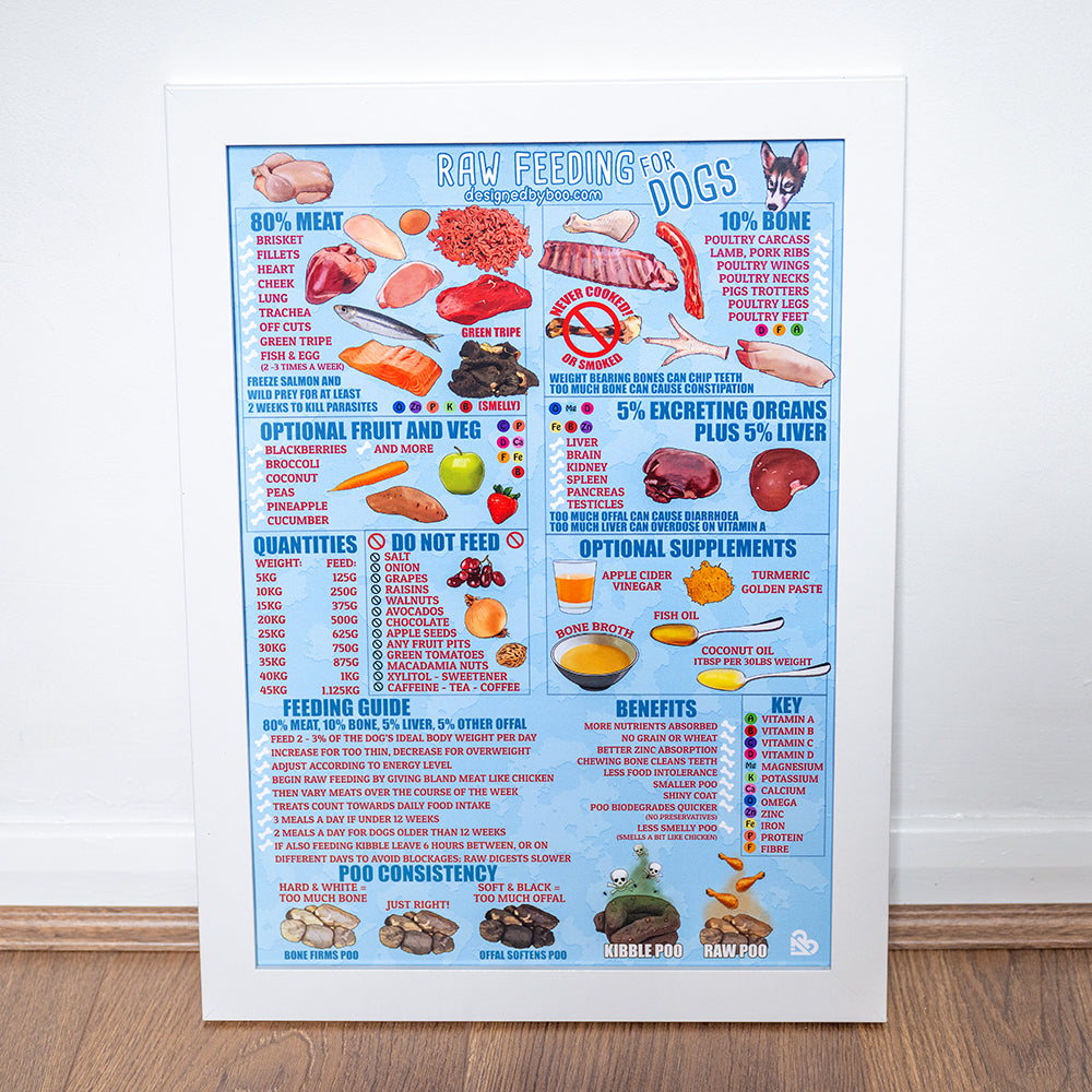 Poster – Raw Feeding Dogs – in a Nutshell – Designed by Boo